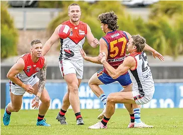 Gulls thirds on target - PressReader