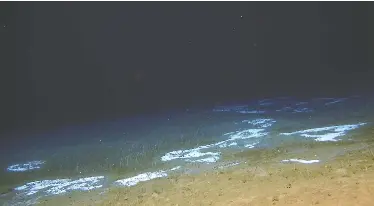 Scientists discover an entirely new type of ecosystem 30,000 feet deep - PressReader