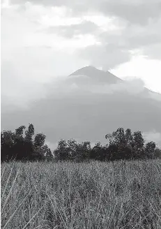 38th Negros Trade Fair celebrates heritage, sustainabi­lity - PressReader