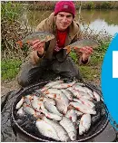 COMMERCIAL­S FOR ROACH - PressReader