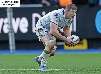 Morgan leads Ospreys into clash with Falcons - PressReader