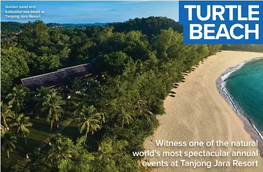 TURTLE BEACH - PressReader