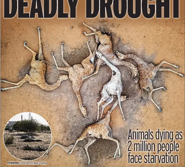 DEADLY DROUGHT - PressReader