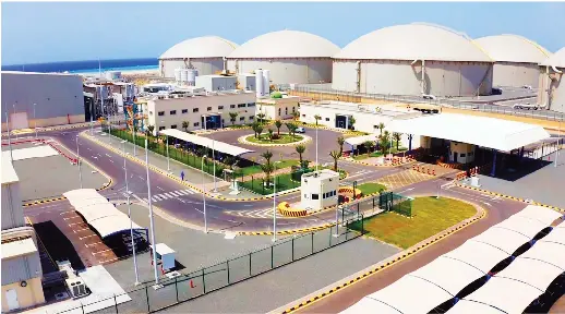 ACWA Power suspends investment­s for fossil fuel power - PressReader