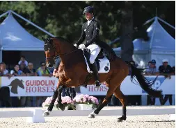 Opinion Judge Christina Klingspor on video reviews - PressReader