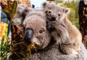 Screen legends step out - PressReader