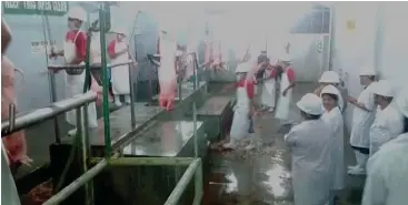 Slaughter house urged to pay P8.9-M rental deficienci­es - PressReader