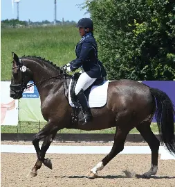 Daimler gives back - PressReader