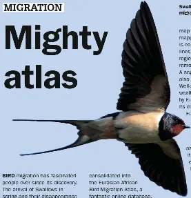 Mighty atlas - PressReader