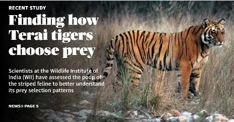 Finding how Terai tigers choose prey - PressReader