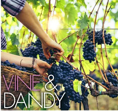Alan Titchmarsh VINE & DANDY - PressReader