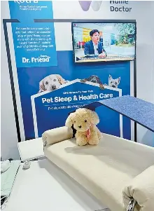 Dr.Friend eyes global expansion with pet bedding products - PressReader