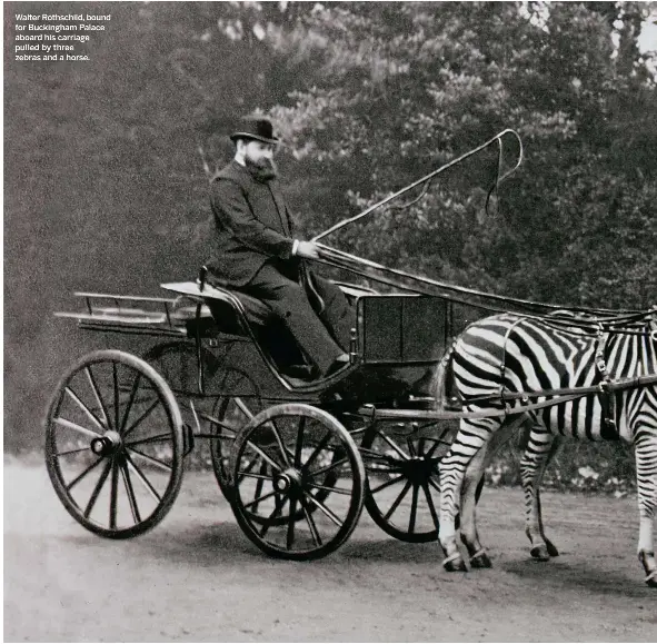 Walter Rothschild - PressReader