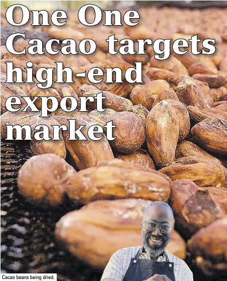 One One Cacao targets high-end export market - PressReader