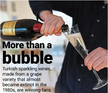 More than a bubble - PressReader
