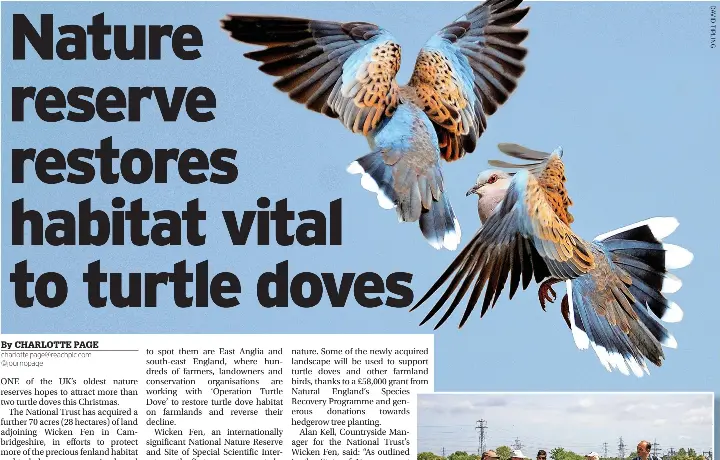 Nature reserve restores habitat vital to turtle doves - PressReader