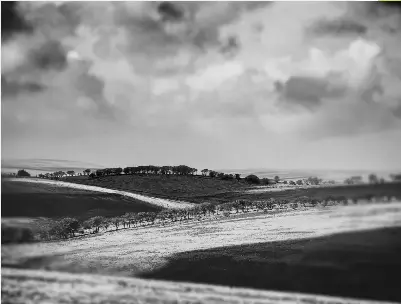 Best subjects for black and white - PressReader