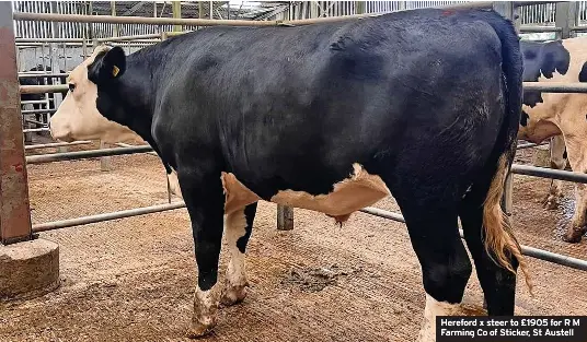 TRURO LIVESTOCK MARKET - PressReader