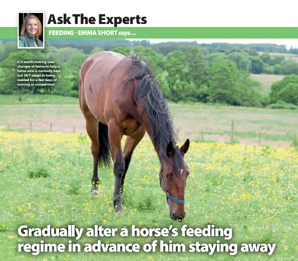 Gradually alter a horse’s feeding regime in advance of him staying away - PressReader