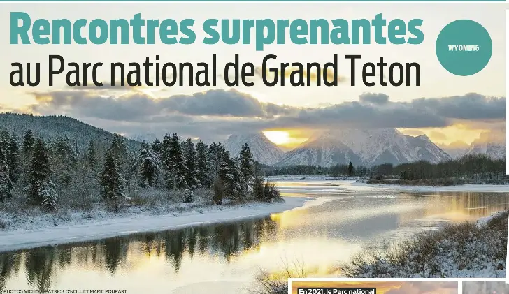 Rencontres surprenant­es au Parc national de Grand Teton - PressReader