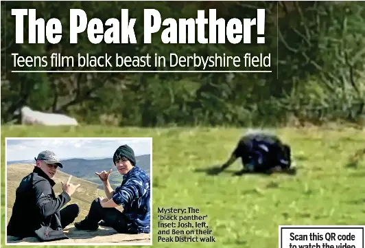 The Peak Panther! - PressReader