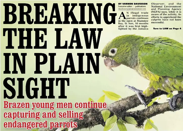BREAKING THE LAW IN PLAIN SIGHT - PressReader