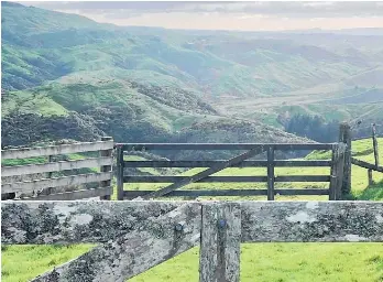 Looking back to go forward - PressReader