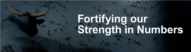 Fortifying our Strength in Numbers - PressReader