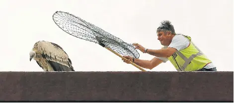 gently does it - PressReader