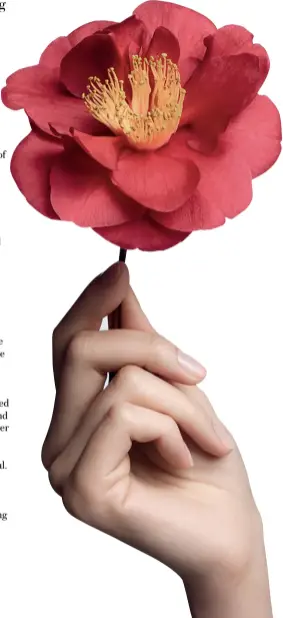 Elixir of Beauty - PressReader