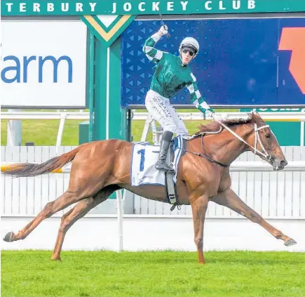 Well Written aimed at rich Ellerslie double - PressReader