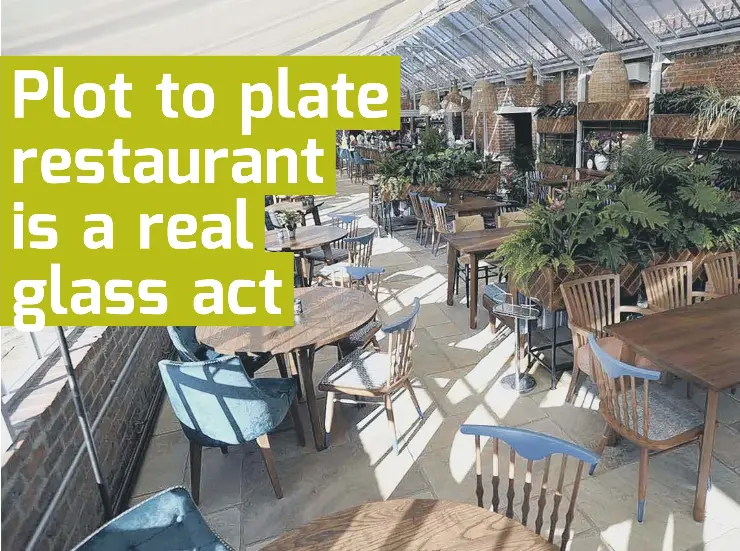 Plot to plate restaurant is a real glass act - PressReader