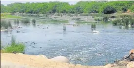 Union ministry approves DPR to revive Luni river in state - PressReader