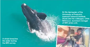 Whales galore… - PressReader