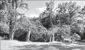 Story of the damage - PressReader