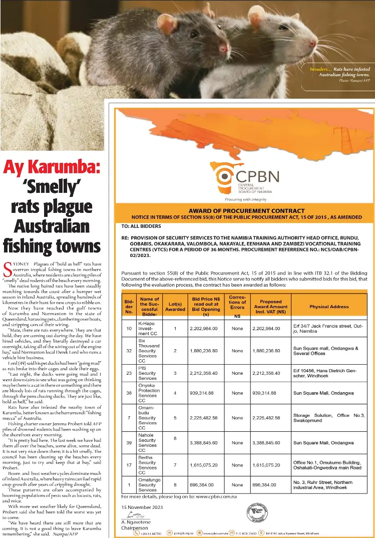 Ay Karumba: ‘Smelly’ rats plague Australian fishing towns - PressReader