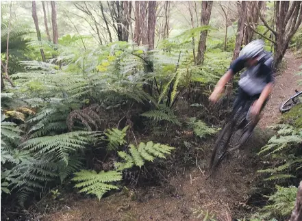 Riding high! - PressReader