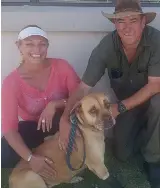 Hond wat bloedoorta­pping ontvang dood - PressReader