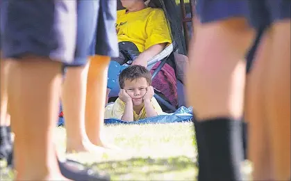 Pakaitore protest remembered - PressReader