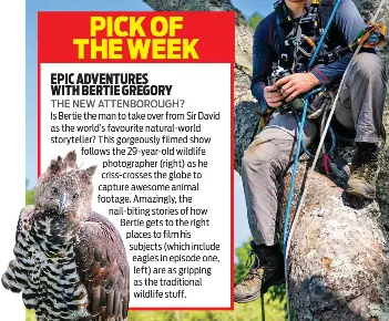 EPIC ADVENTURES WITH BERTIE GREGORY - PressReader