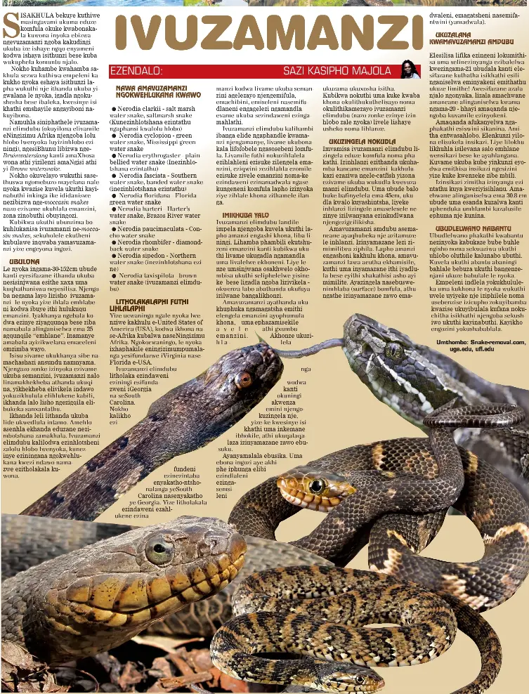 PressReader - Ilanga: 2017-01-09 - IVUZAMANZI