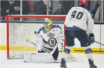 Capitals bounce back from defeat in emphatic style - PressReader