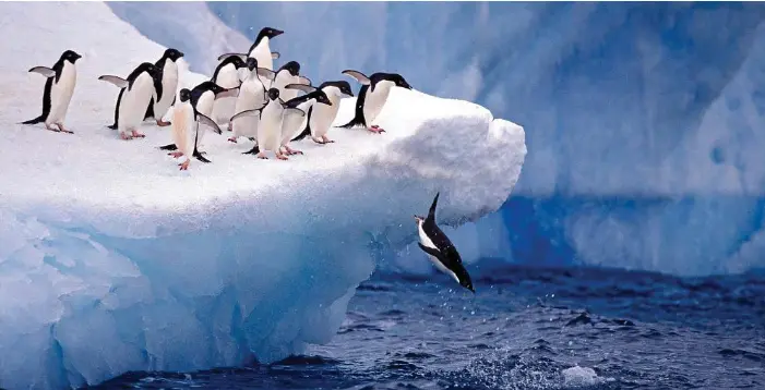 Who knew? Icebergs are noisy - PressReader