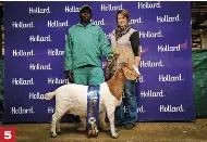 Namibiese bok-uitblinker­s - PressReader