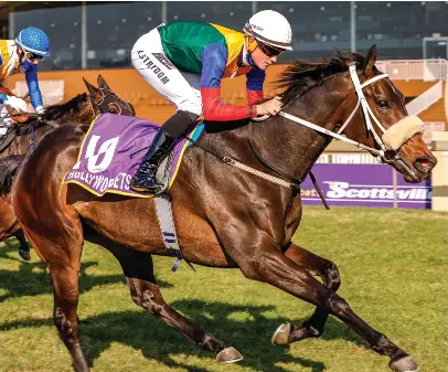 Drill Hall a real tester - PressReader