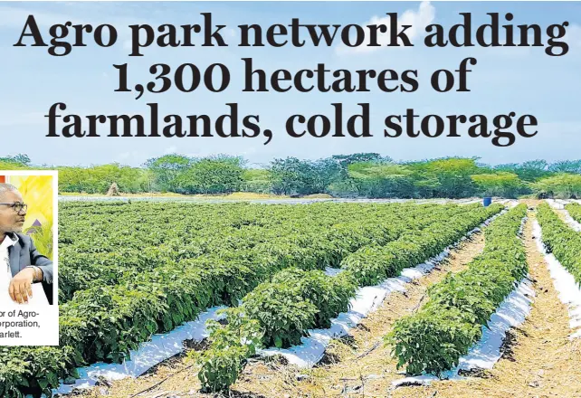 Agro park network adding 1,300 hectares of farmlands, cold storage ...