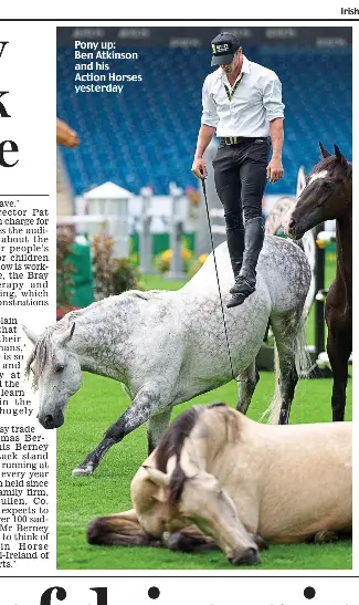 Horse Show getting back in the saddle - PressReader