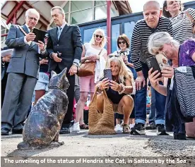 ‘Legendary’ Coastal Cat sits purr-fectly on the bay - PressReader