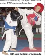 Taekwondo summer classes ongoing - PressReader