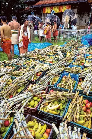 All things huge: jumbos, feast and the crowd - PressReader